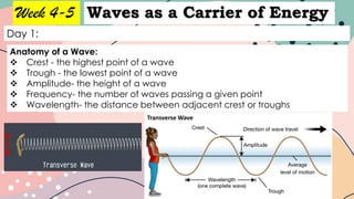 3QW4-5 Science module lesson and practice examples | PDF