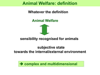 Sponsor Day on animal feeding: Animal Welfare: definition, assessment ...