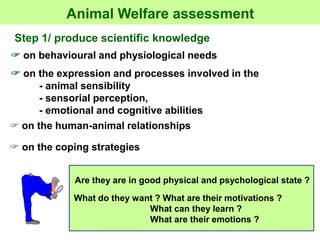Sponsor Day on animal feeding: Animal Welfare: definition, assessment ...