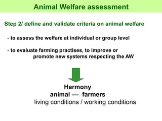 Sponsor Day on animal feeding: Animal Welfare: definition, assessment ...