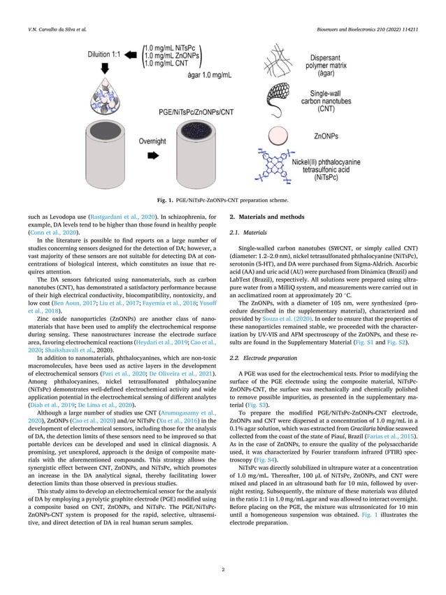 3 Rapid and selective detection of dopamine in human serum using an.pdf | Brain and Nervous ...