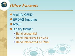 raster data model | PPT
