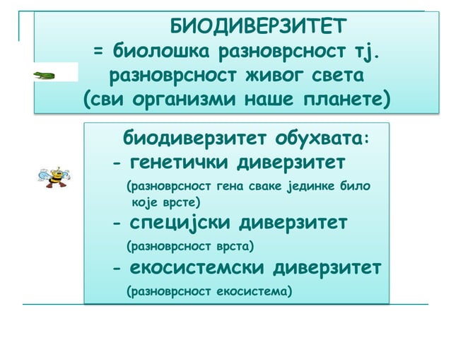 Raznovrsnost zivog sveta biodiverzitet | PPT