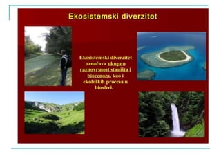 Raznovrsnost zivog sveta biodiverzitet | PPT