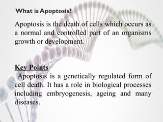 apoptosis is the process of cell death in plan | PPTX