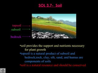 3rd Grade Science May Plan Review | PPT