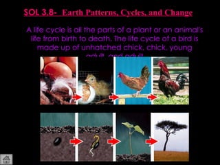 3rd Grade Science May Plan Review | PPT