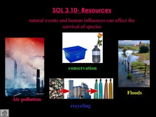 3rd Grade Science May Plan Review | PPT