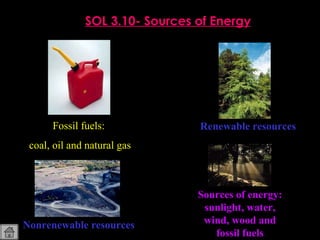 3rd Grade Science May Plan Review | PPT