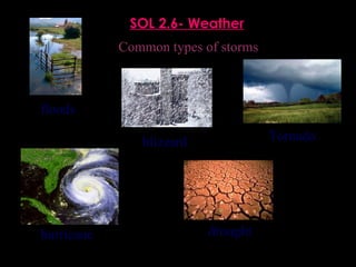 3rd Grade Science May Plan Review | PPT