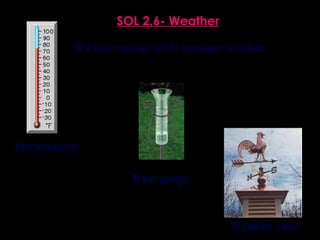 3rd Grade Science May Plan Review | PPT