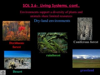 3rd Grade Science May Plan Review | PPT