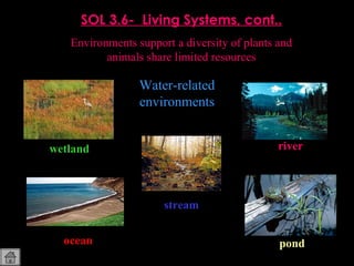 3rd Grade Science May Plan Review | PPT