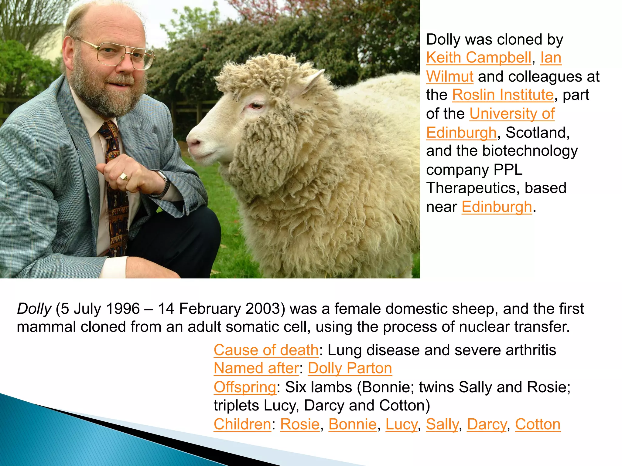 Hormone and Enzyme (Description and synthesis) | PDF