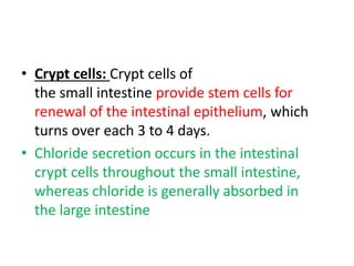 diseases of intestine | PPTX