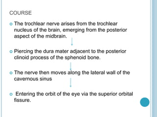 3 rd, 4th 6th cranial nerve | PPTX | Eye and Vision Conditions ...