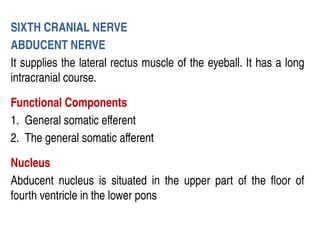 3rd,4th,6th cranial nerves.pptx-2025-anatomy | PPTX
