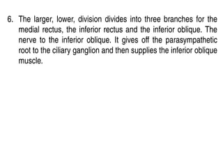 3rd,4th,6th cranial nerves.pptx-2025-anatomy | PPTX