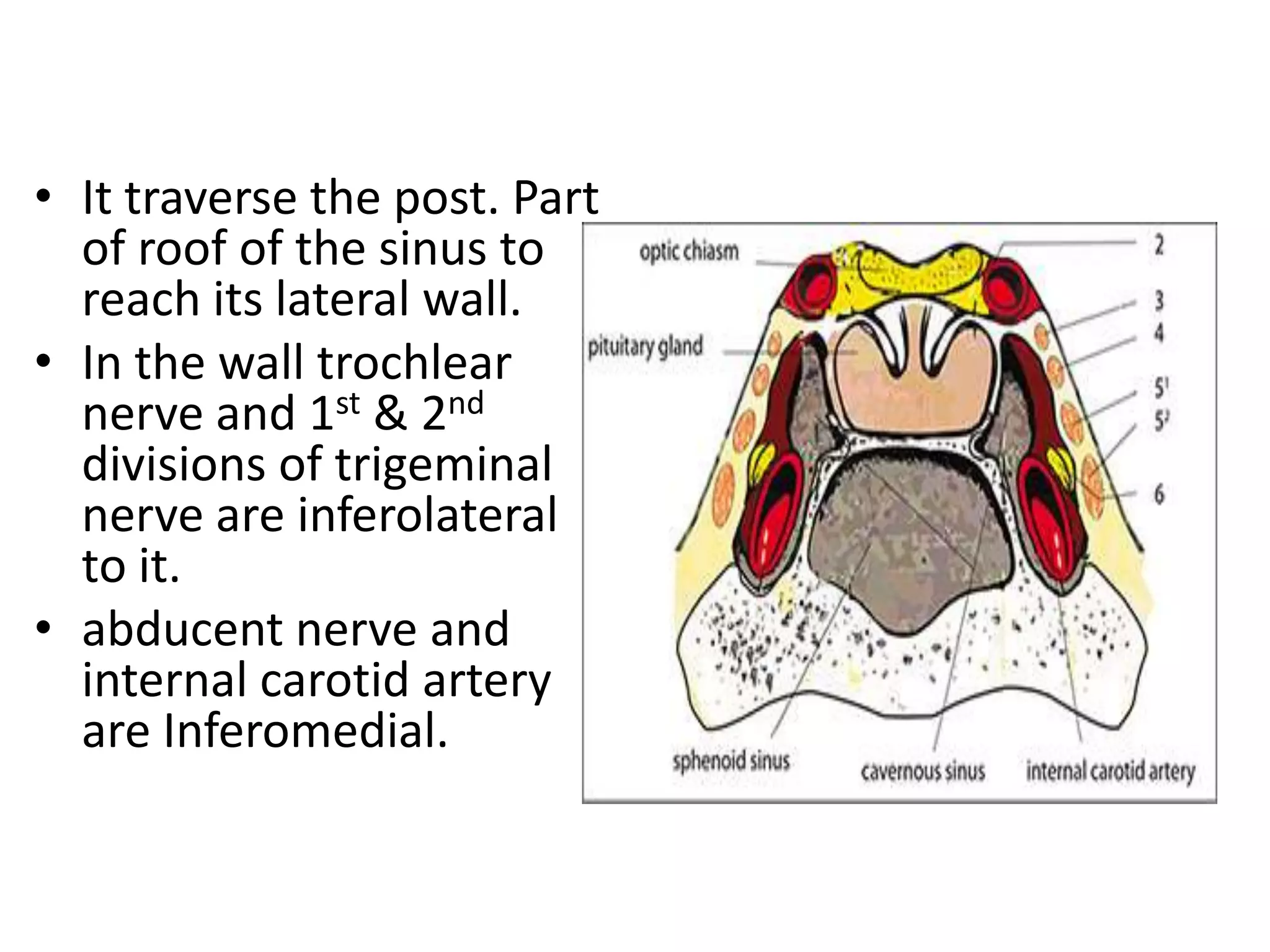 3rd, 4th and 6th cranial nerve | PPTX