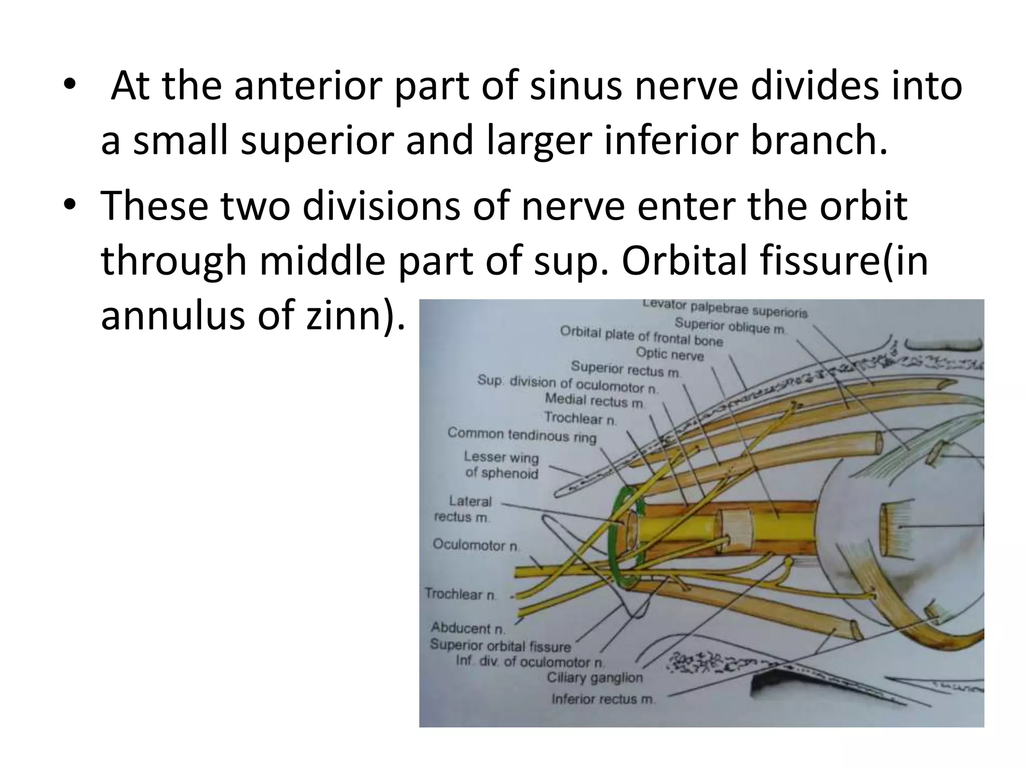3rd, 4th and 6th cranial nerve | PPTX