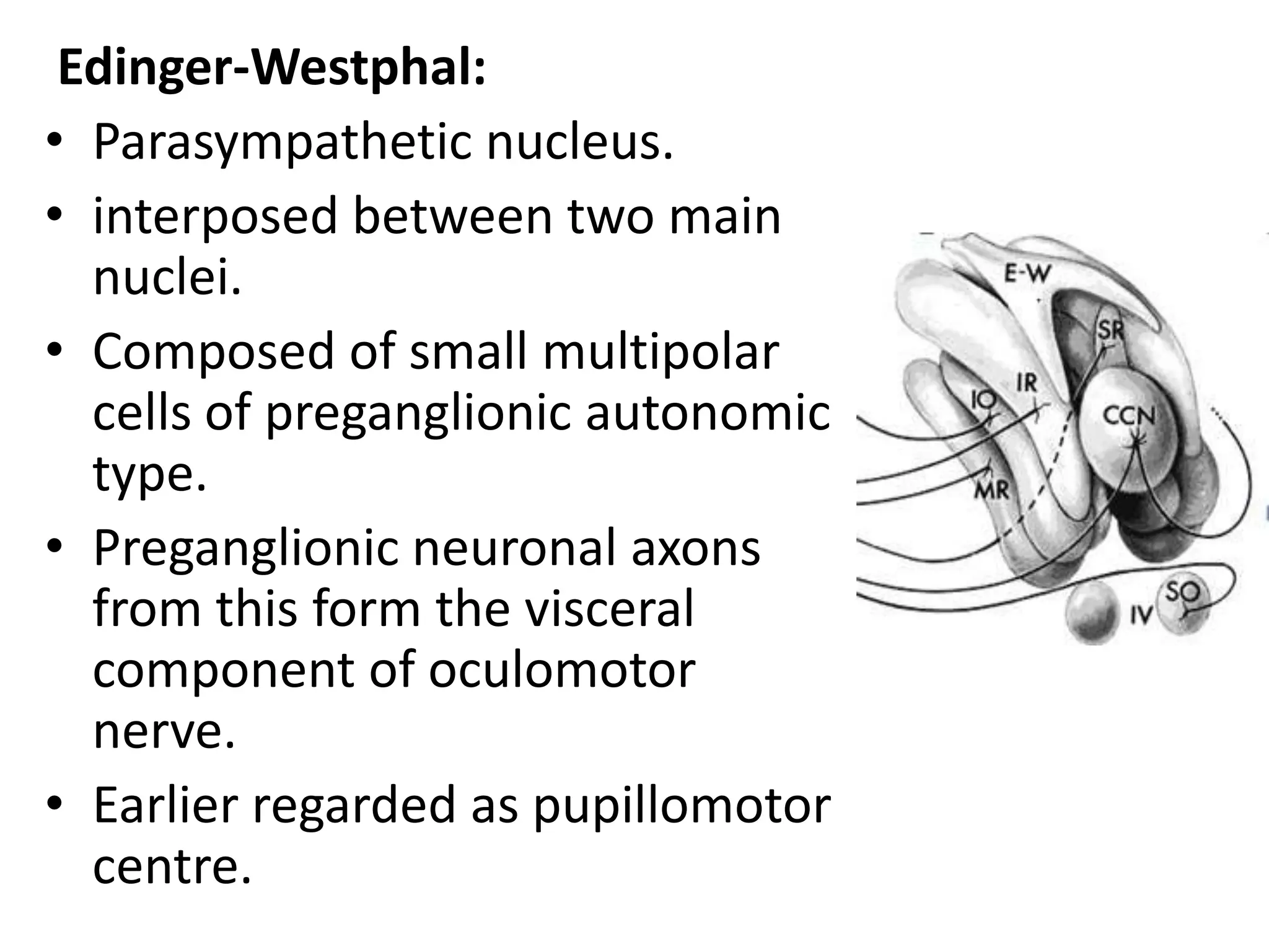 3rd, 4th and 6th cranial nerve | PPTX