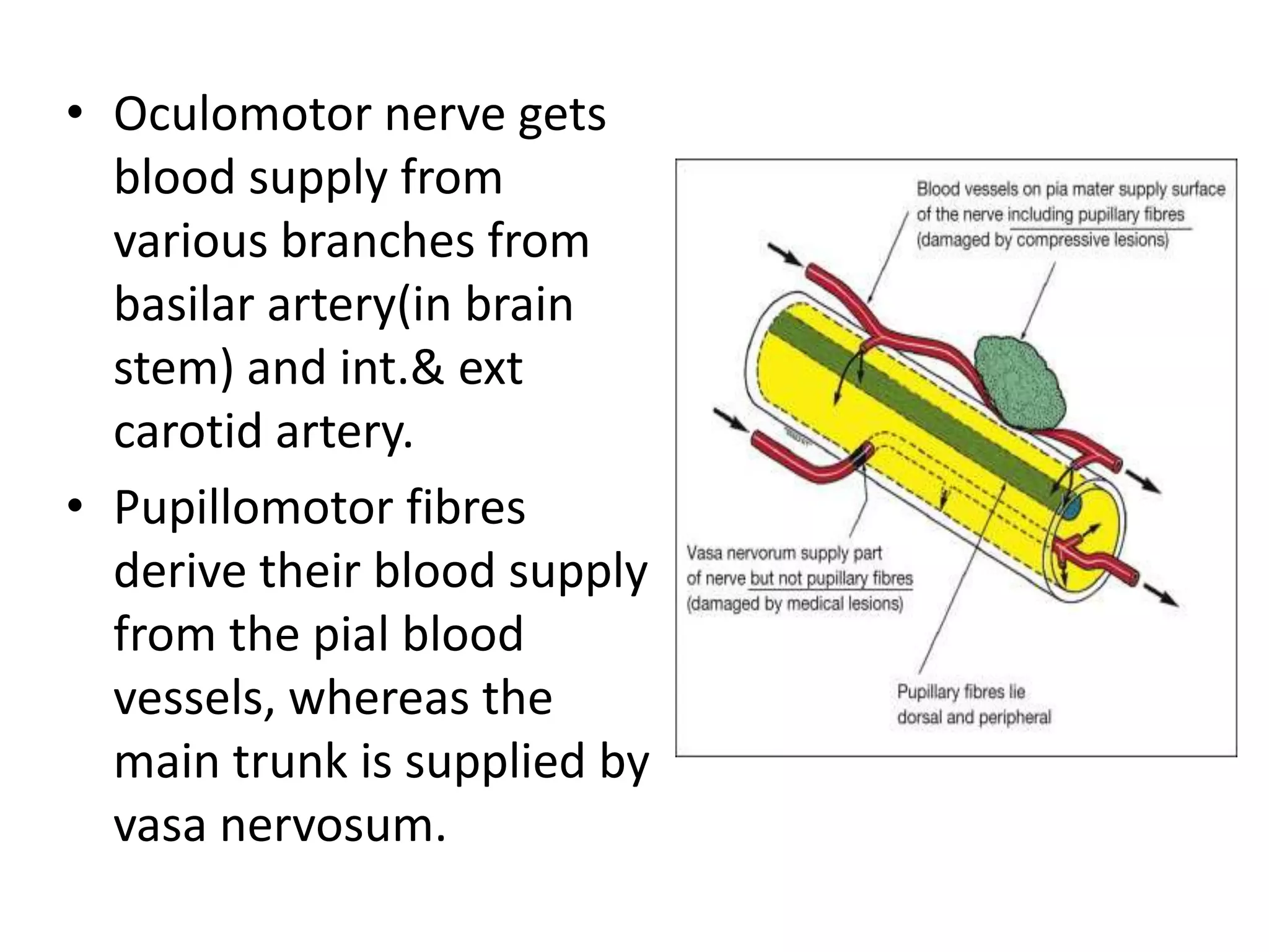 3rd, 4th and 6th cranial nerve | PPTX