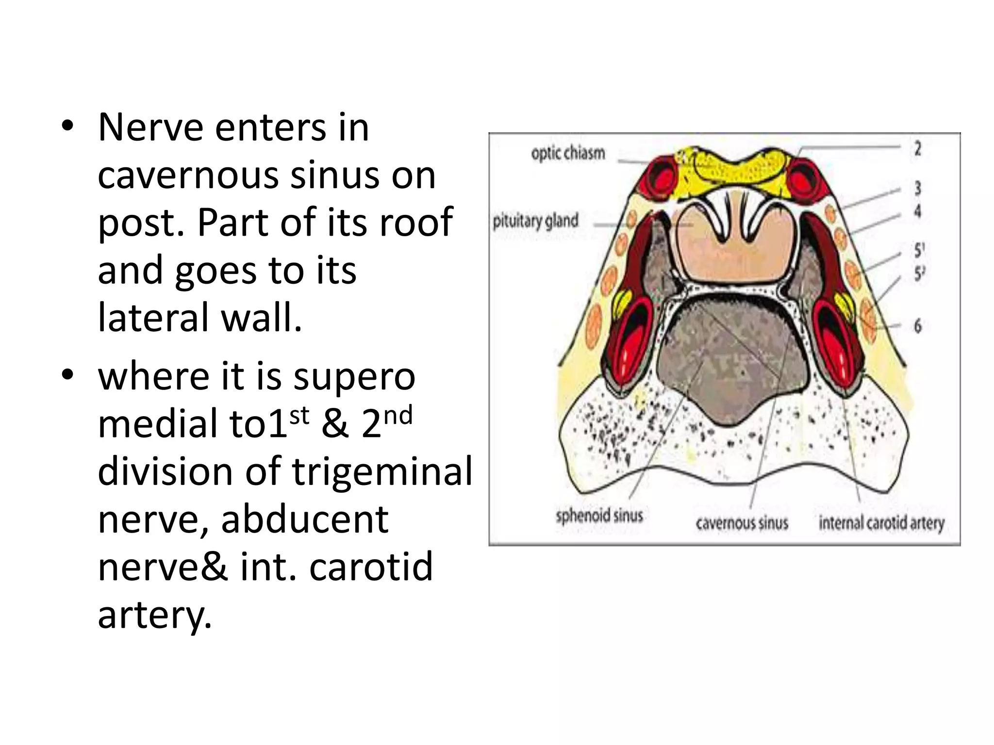 3rd, 4th and 6th cranial nerve | PPTX