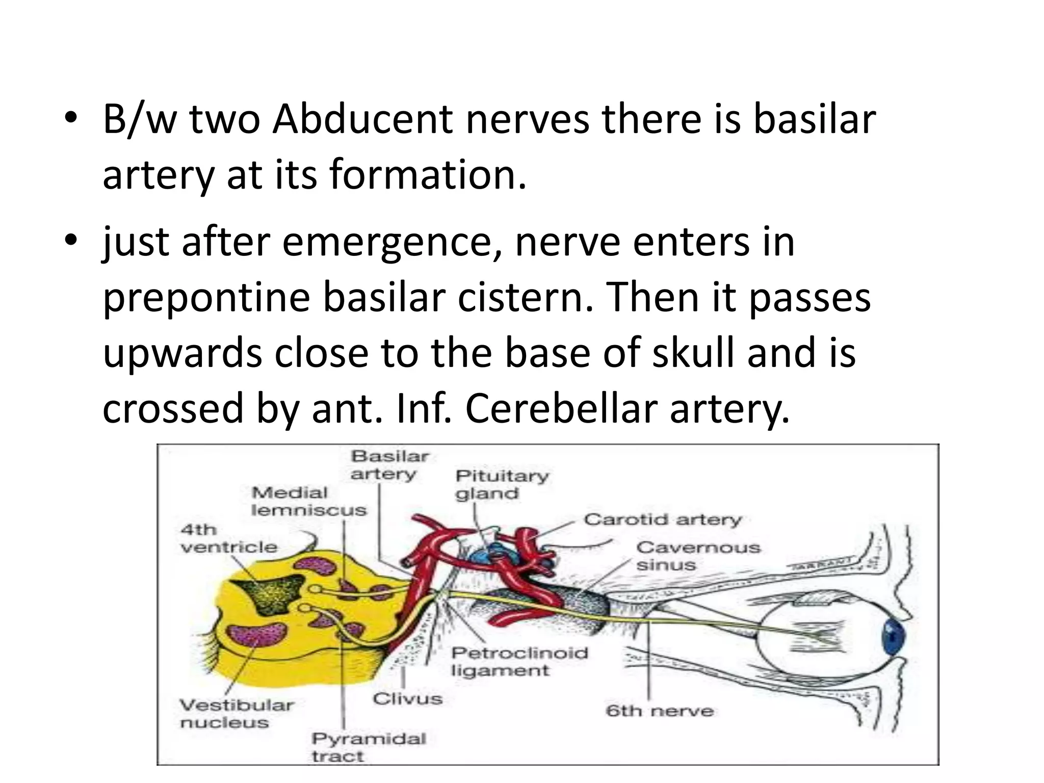 3rd, 4th and 6th cranial nerve | PPTX