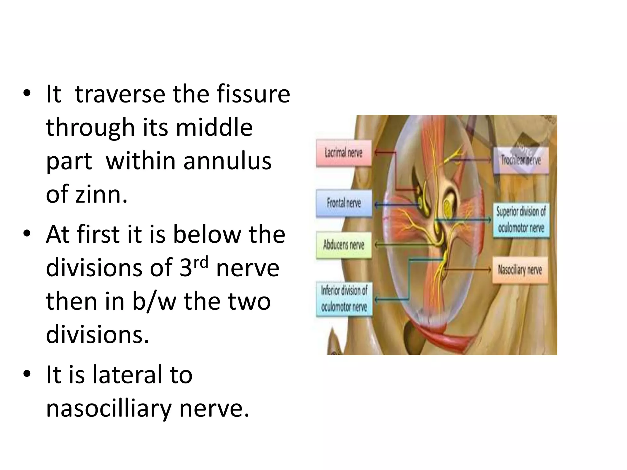 3rd, 4th and 6th cranial nerve | PPTX