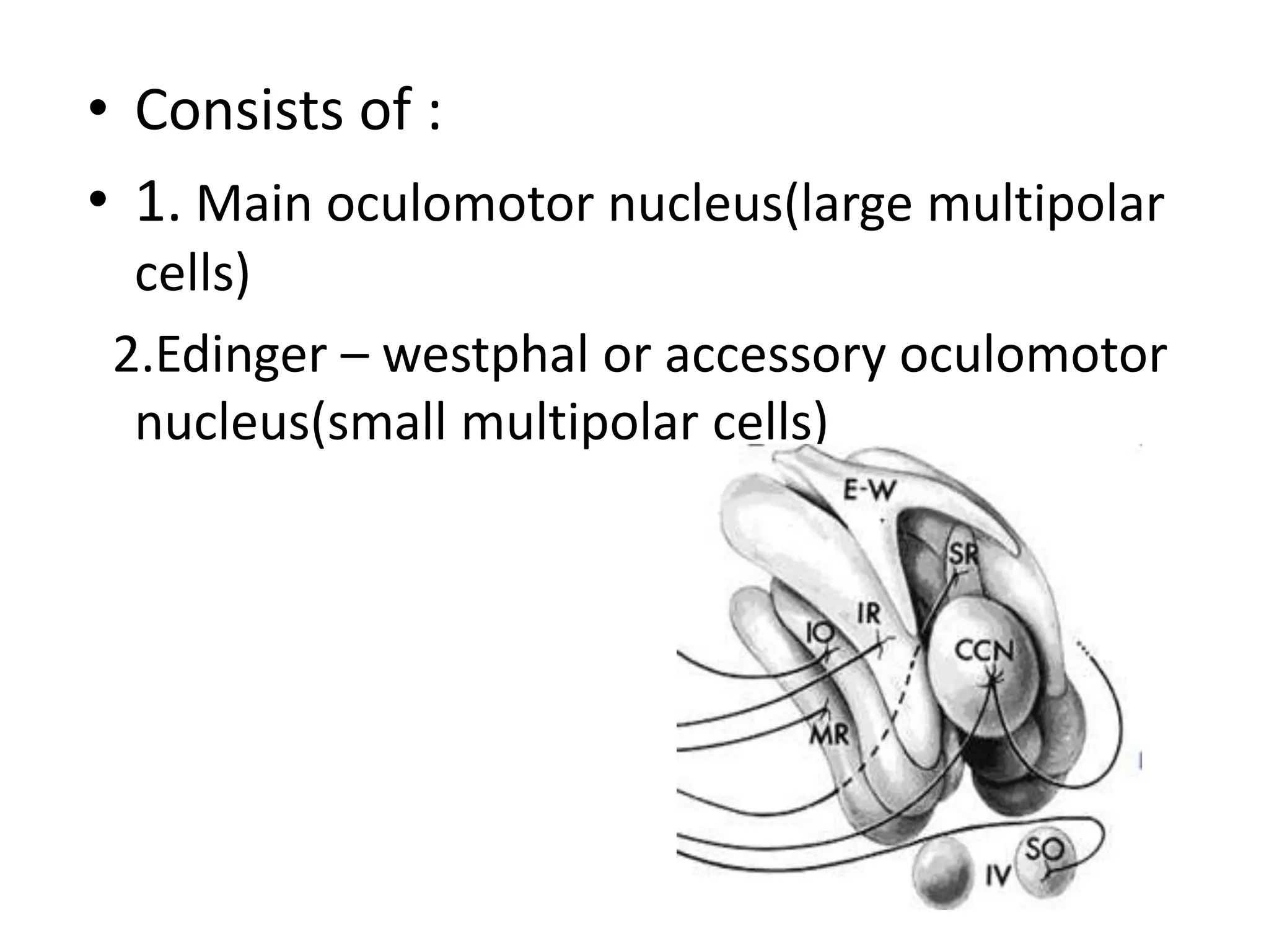3rd, 4th and 6th cranial nerve | PPTX