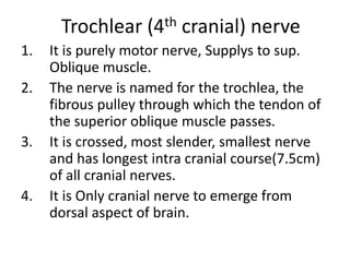 3rd, 4th and 6th cranial nerve | PPTX