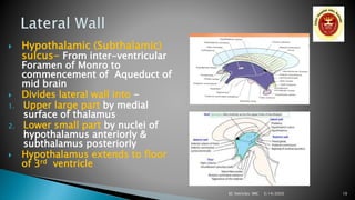 3rd and lateral ventricles pdf | PDF