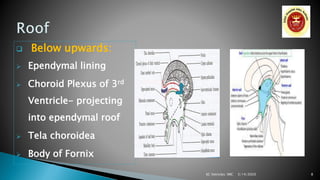 3rd and lateral ventricles pdf | PDF