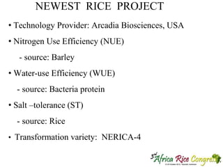 Product development of genetically modified NERICA | PPTX