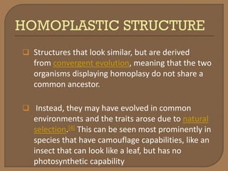 BIODIVERSITY:EVOLUTION | PDF