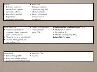 3rd cranial nerve palsy | PDF