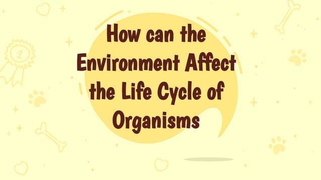 3rd GP Sci 4- L3 Environment Affect the Life Cycle of Organisms.pptx ...