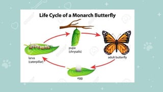 3rd GP Sci 4- L3 Environment Affect the Life Cycle of Organisms.pptx