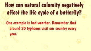3rd GP Sci 4- L3 Environment Affect the Life Cycle of Organisms.pptx