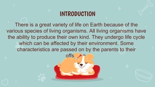 3rd GP Sci 4- L3 Environment Affect the Life Cycle of Organisms.pptx