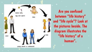 3rd GP Sci 4- L3 Environment Affect the Life Cycle of Organisms.pptx
