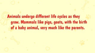 3rd GP Sci 4- L3 Environment Affect the Life Cycle of Organisms.pptx