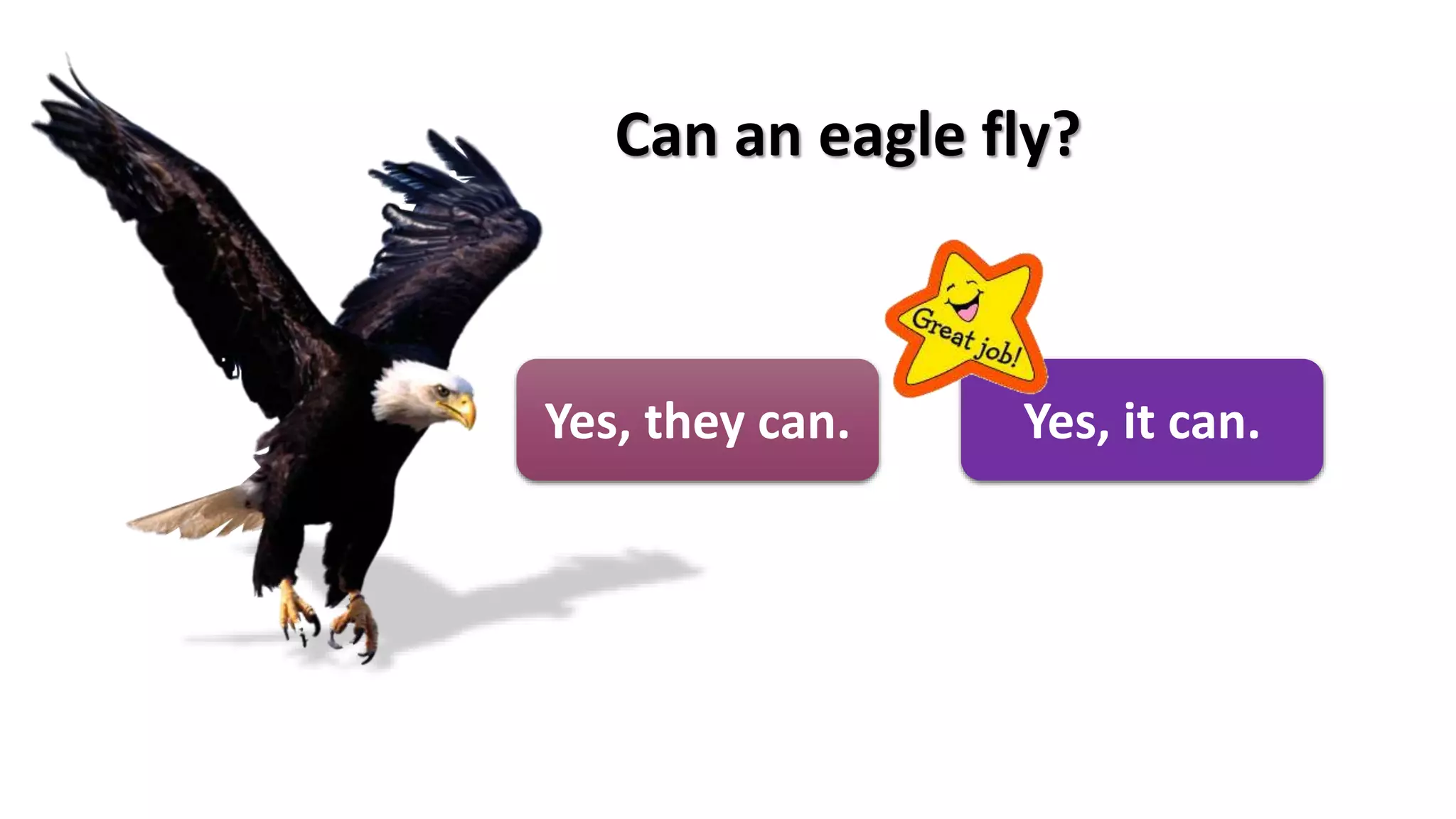 3rd Grade CAN CAN'T REVISION.pptx