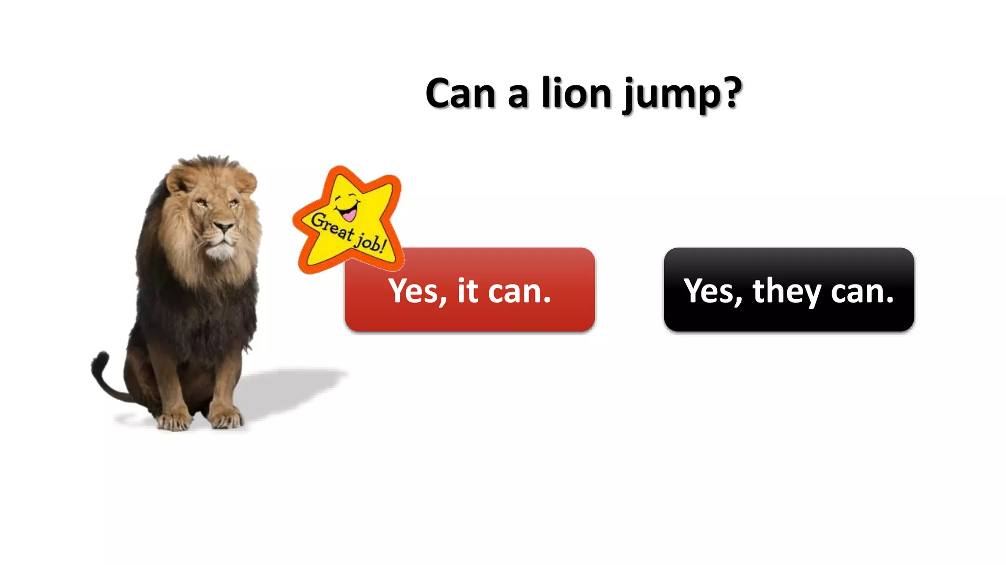 3rd Grade CAN CAN'T REVISION.pptx