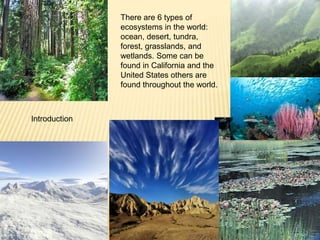 3rd grade ecosystem | PPTX