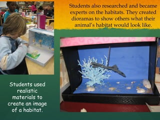 3rd Grade Endangered Animal Project | PPT | Birdwatching | Hobbies ...