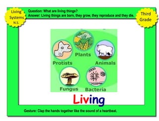 3rd grade Natural Science Power Pixs | PPT