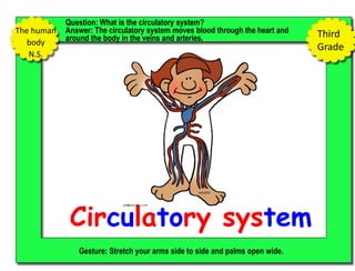 3rd grade Natural Science Power Pixs | PPTX | Lung and Respiratory ...