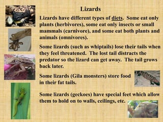 3rdGradeReptilesandAmphibians.ppt
