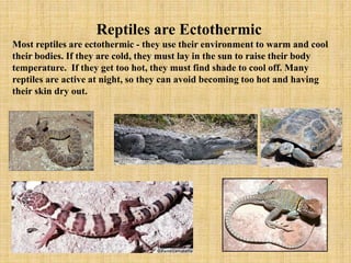 3rdGradeReptilesandAmphibians.ppt